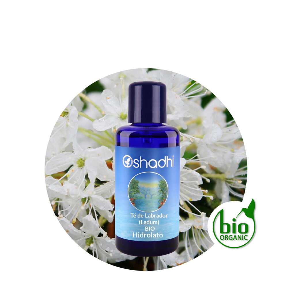 Hidrolato de Té de Labrador - Oshadhi